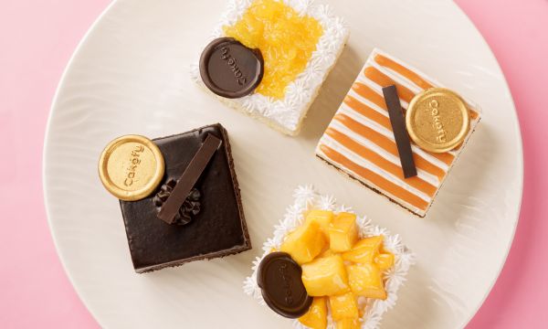 Cakofy - Online Ordering